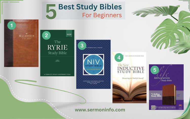 5 Best Study Bibles For Beginners | For Spiritual Growth